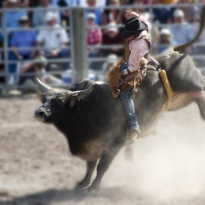 Harper's Preserve Saddle Up Daily Rodeo Ticket Winners | Harpers Preserve